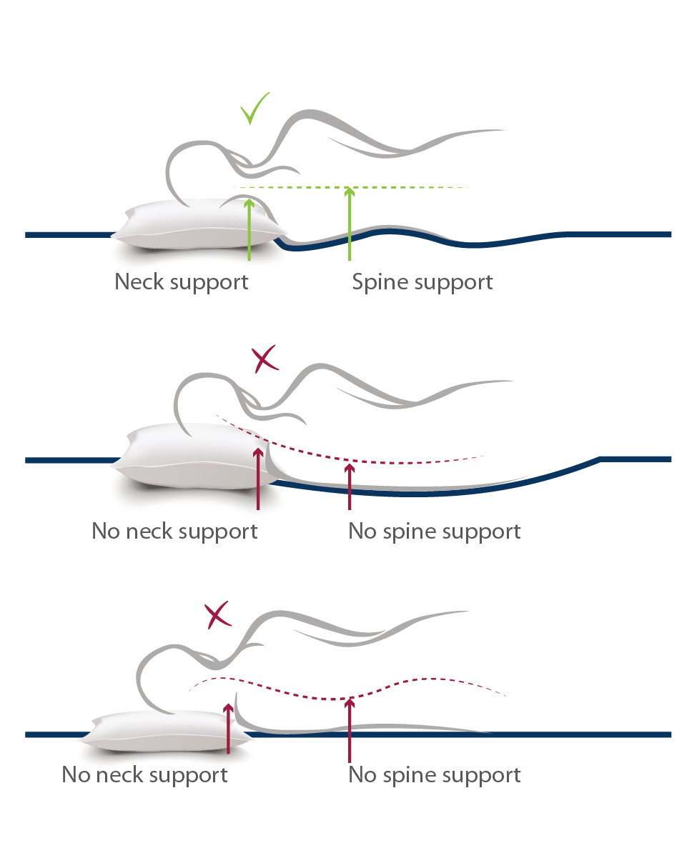 Useful Information - Gevorest