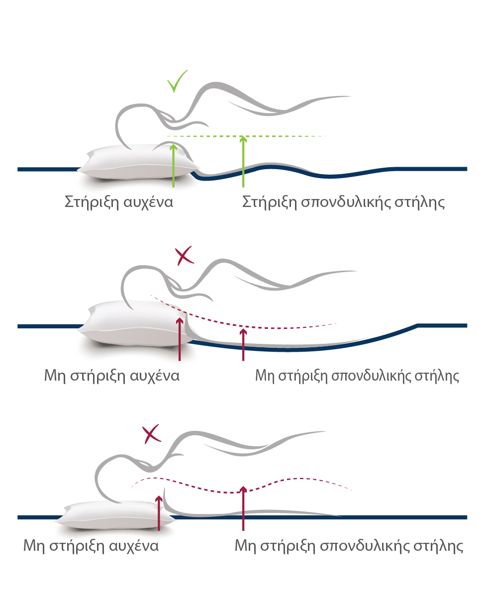 Χρήσιμες πληροφορίες - Gevorest