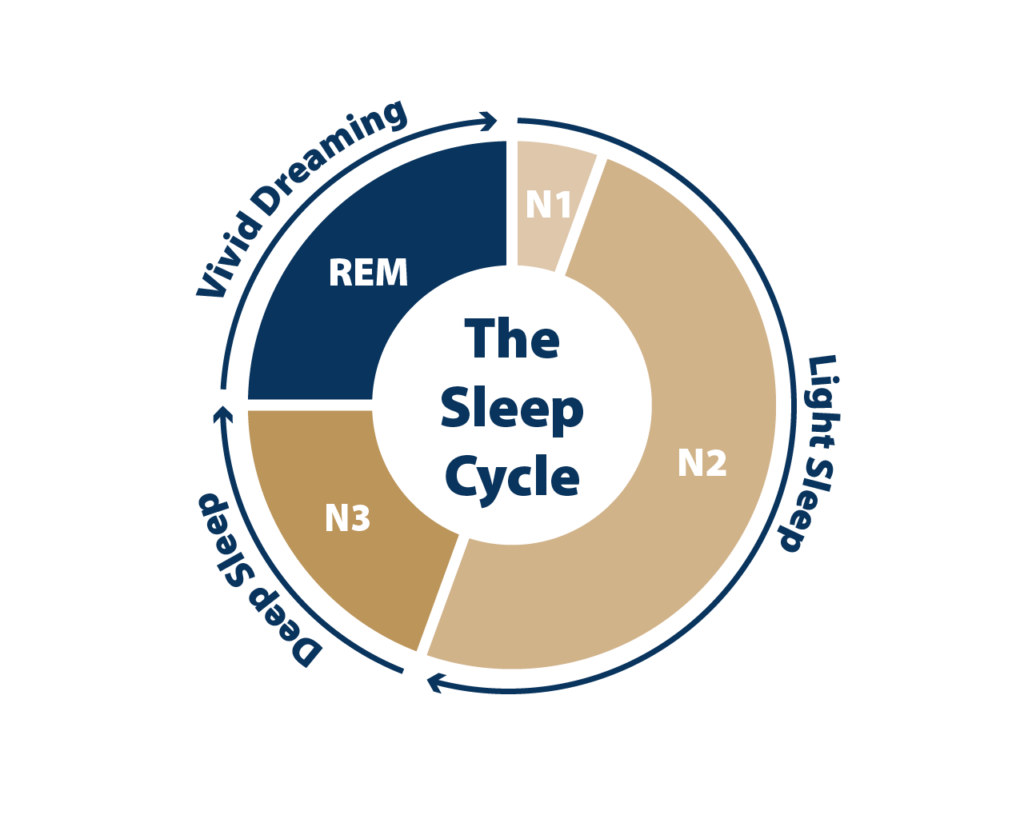 What Happens When We Sleep The 4 Stages Of Sleep Gevorest What Happens When We Sleep The 4 Stages Of Sleep Gevorest